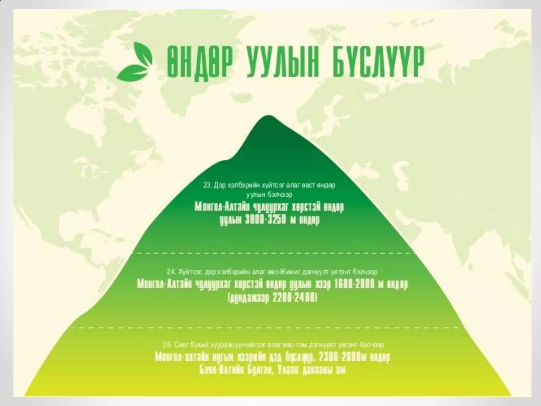 Guide surgalt flora of mongolia | PDF