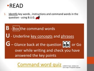 Guide to answering to what extent question And Examples.pdf