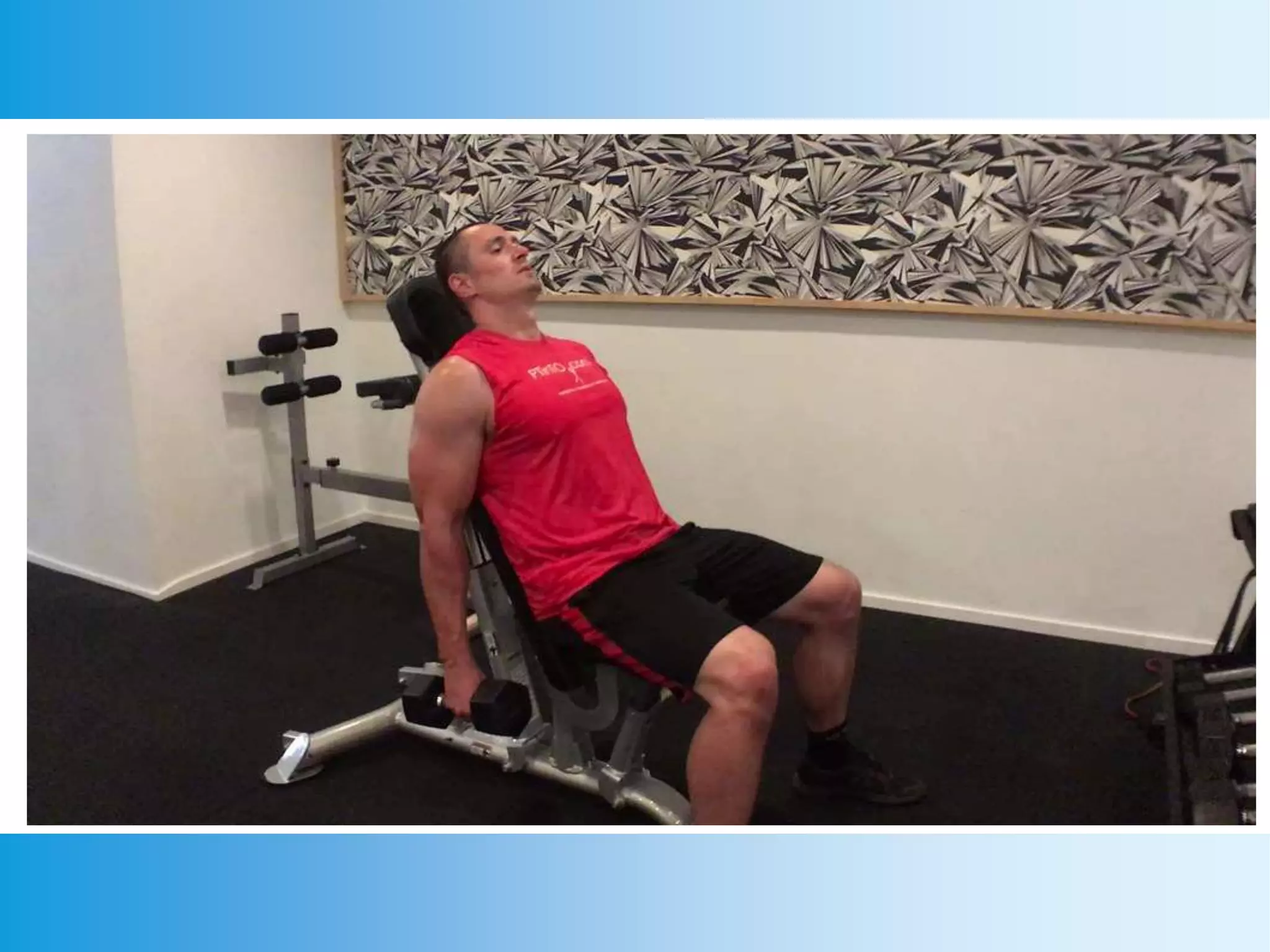 Guide to Bodybuilding - Caleb Perkins | PPTX