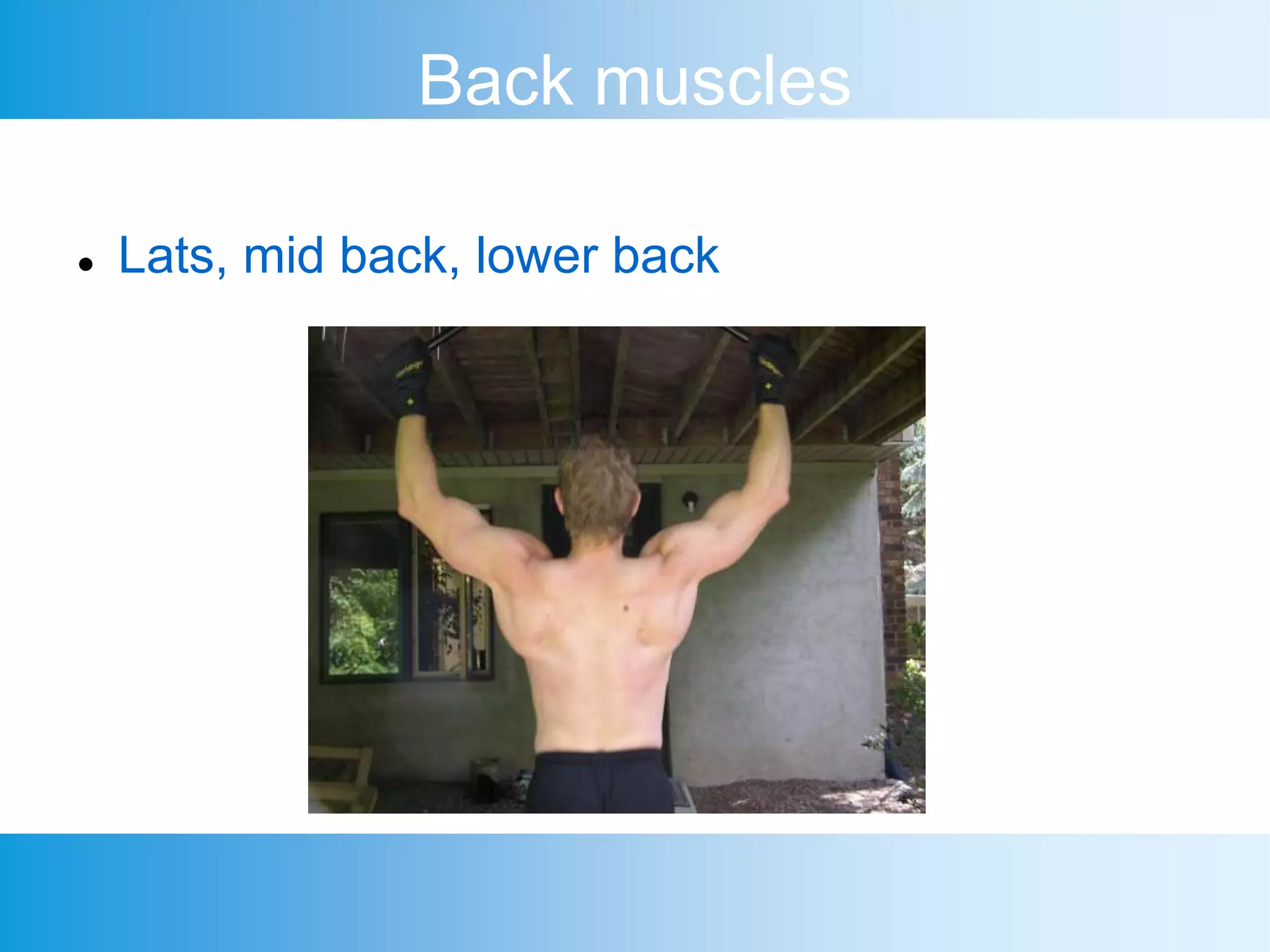 Guide to Bodybuilding - Caleb Perkins | PPTX