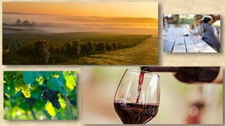 Guide to Choosing Wine | PPTX