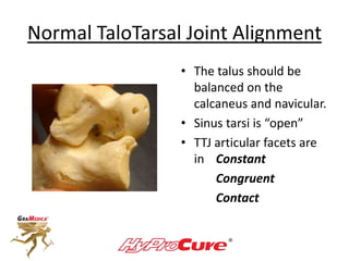 Neutral and Relaxed Stance X-ray Positioning for TaloTarsal Joint ...