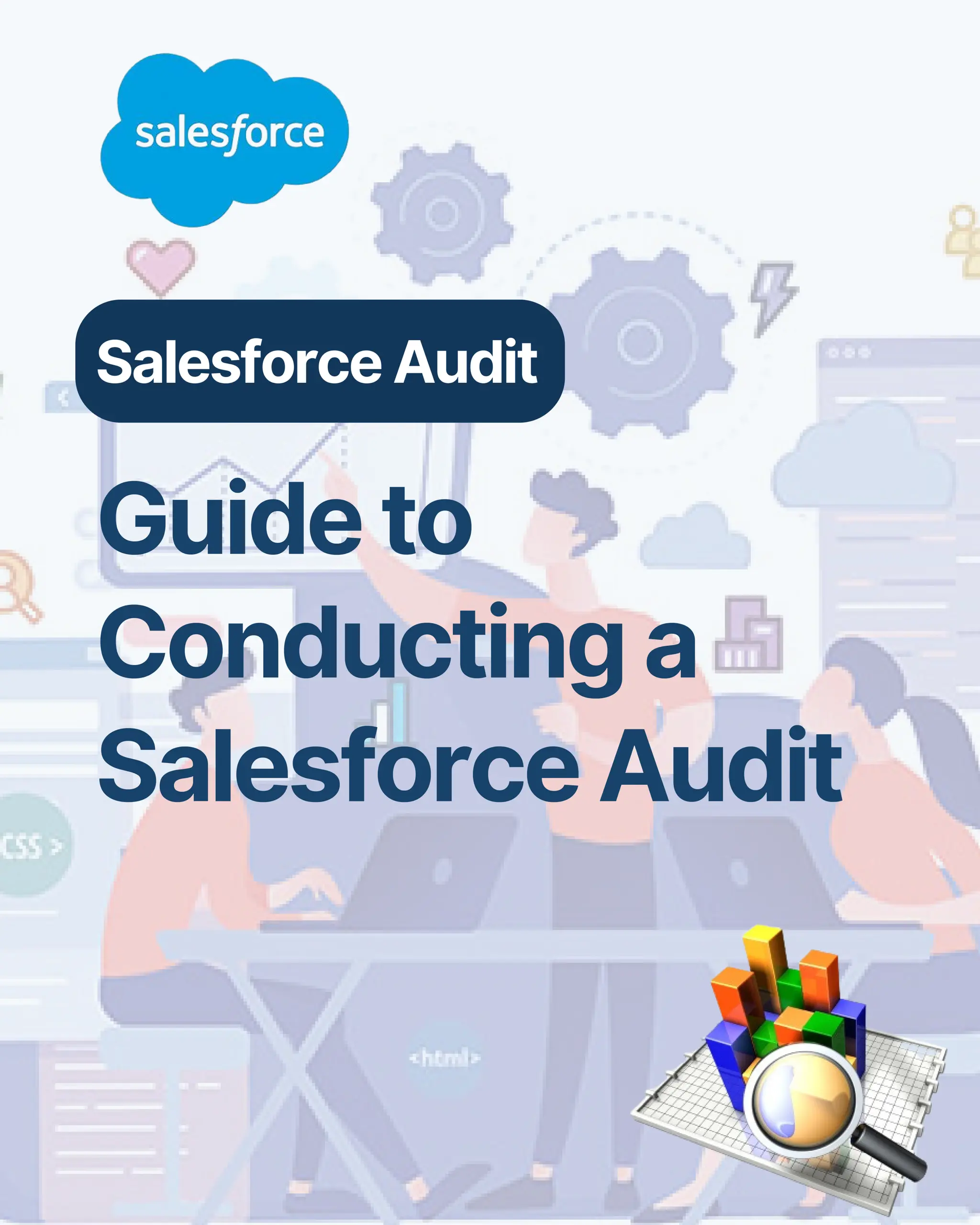 Guide to Conducting a Salesforce Audit | PDF