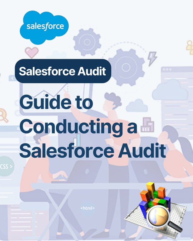 Guide to Conducting a Salesforce Audit | PDF