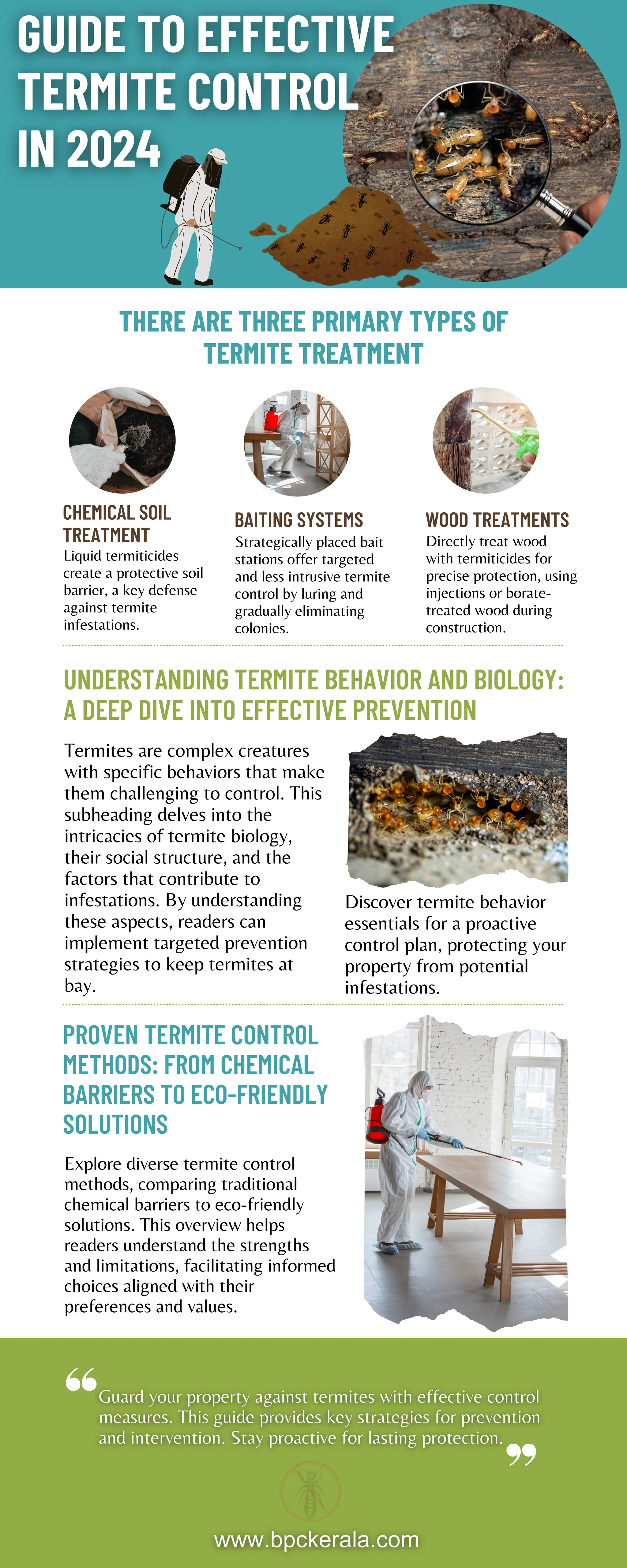 Guide to Effective Termite Control in 2024 | PDF