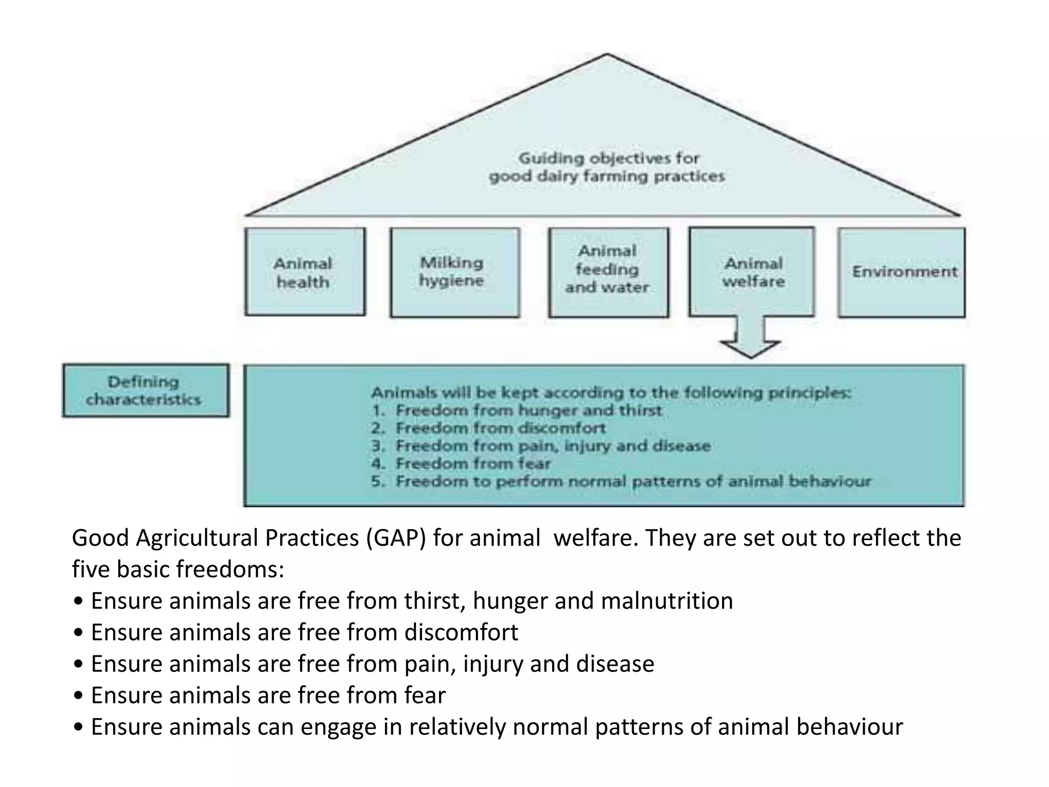 Guide to good dairy farming practice | PPTX