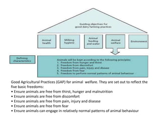 Guide to good dairy farming practice | PPTX