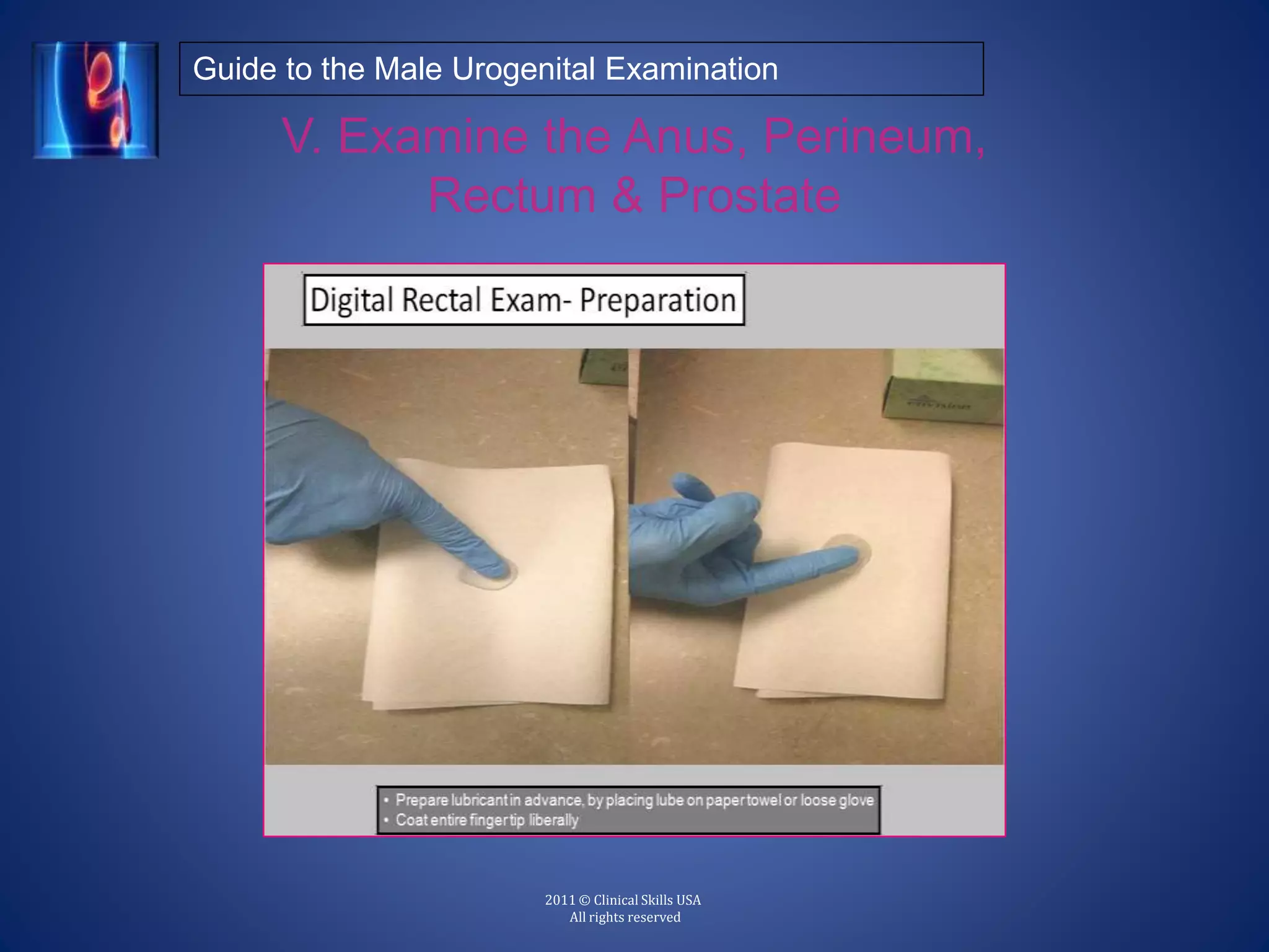 A Guide to the Clinical Male Urogenital Examination | PPTX