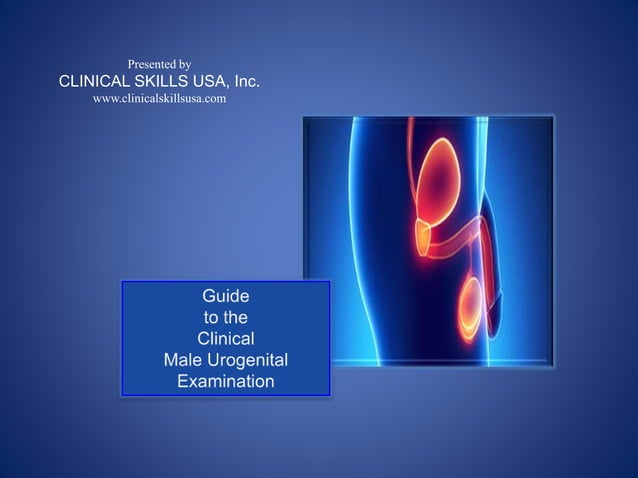 A Guide to the Clinical Male Urogenital Examination | PPTX | Sexual ...
