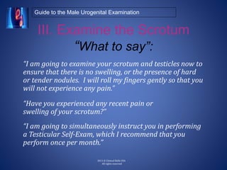 A Guide to the Clinical Male Urogenital Examination | PPTX