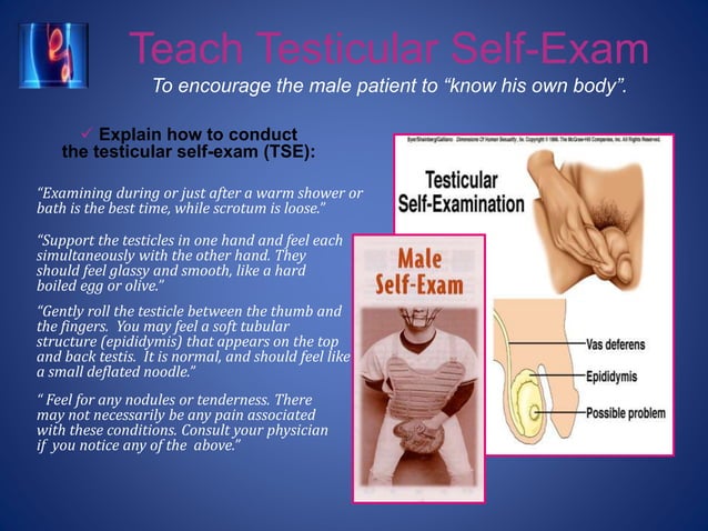 A Guide to the Clinical Male Urogenital Examination | PPTX | Sexual Conditions | Sexual Health