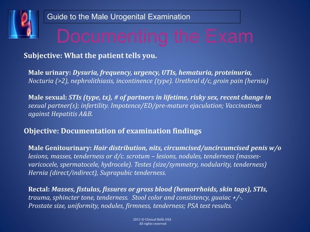 A Guide to the Clinical Male Urogenital Examination | PPTX | Sexual ...
