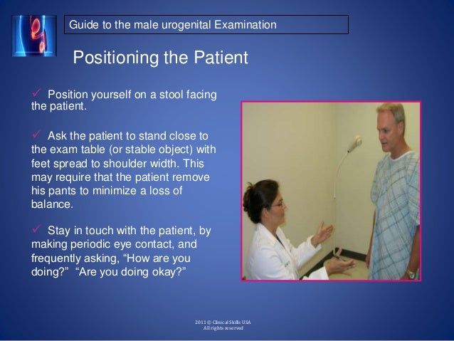 A Guide to the Clinical Male Urogenital Examination
