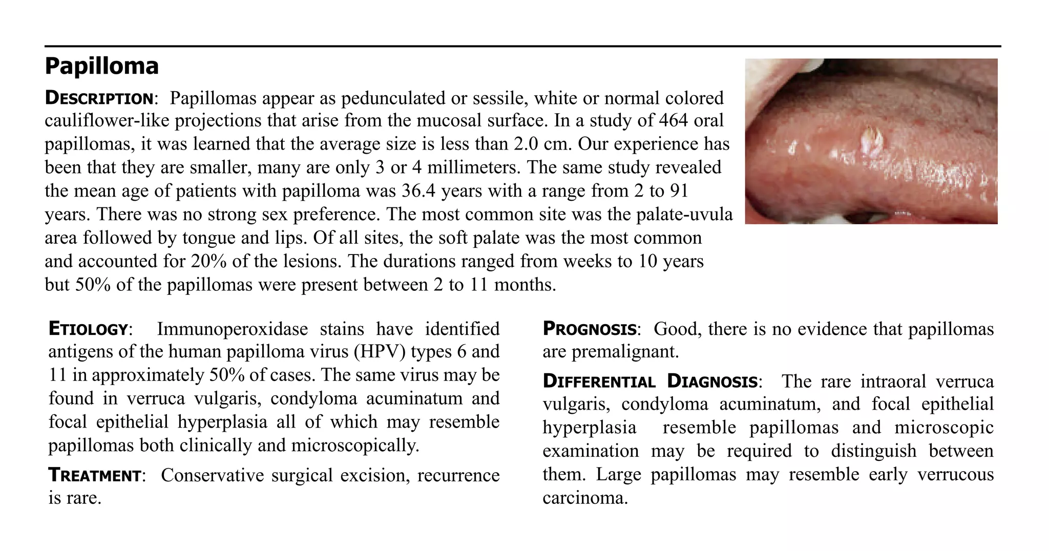 Guide to oral lesions | PDF