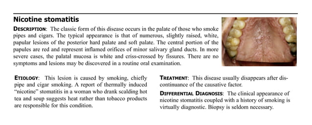 Guide to oral lesions | PDF