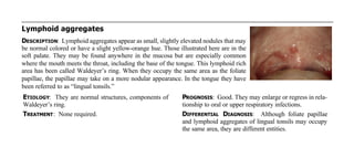 Guide to oral lesions | PDF