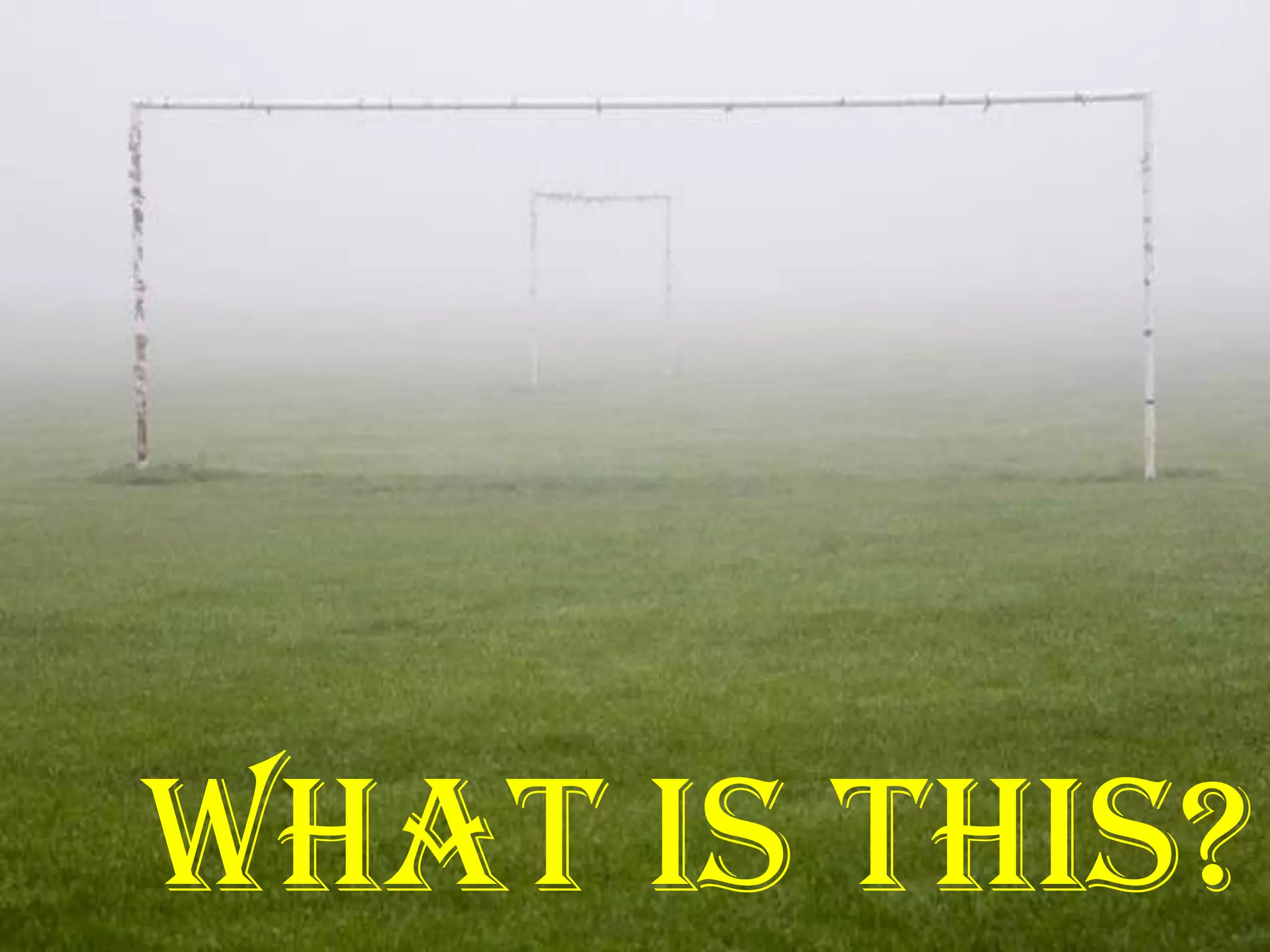 Guide to professionalism | PPTX