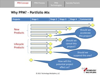 Guide to Project Portfolio Management | PDF | Computer Software and ...
