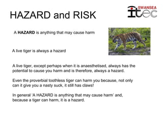 Risk Assessment at Swansea ITeC | PPT