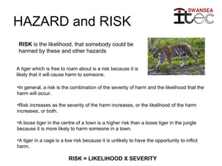 Risk Assessment at Swansea ITeC | PPT