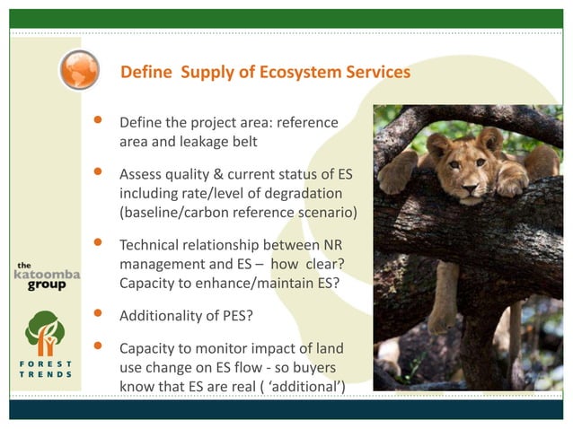 Guide to structuring a PES project | PPTX | Environmental Services ...