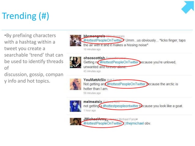 Guide to Twitter | PPTX | Social Networking | Internet