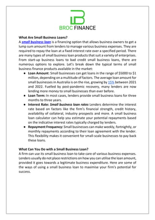 Guide to Understanding Small Business Loans.pdf