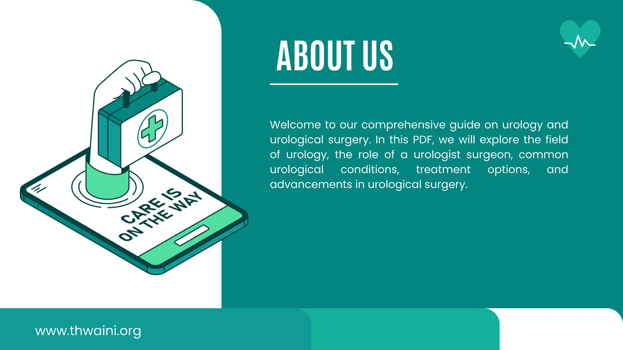 Guide to urology and urological surgery.pdf
