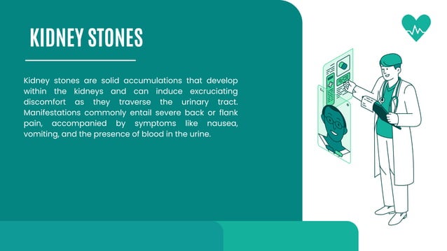 Guide to urology and urological surgery.pdf