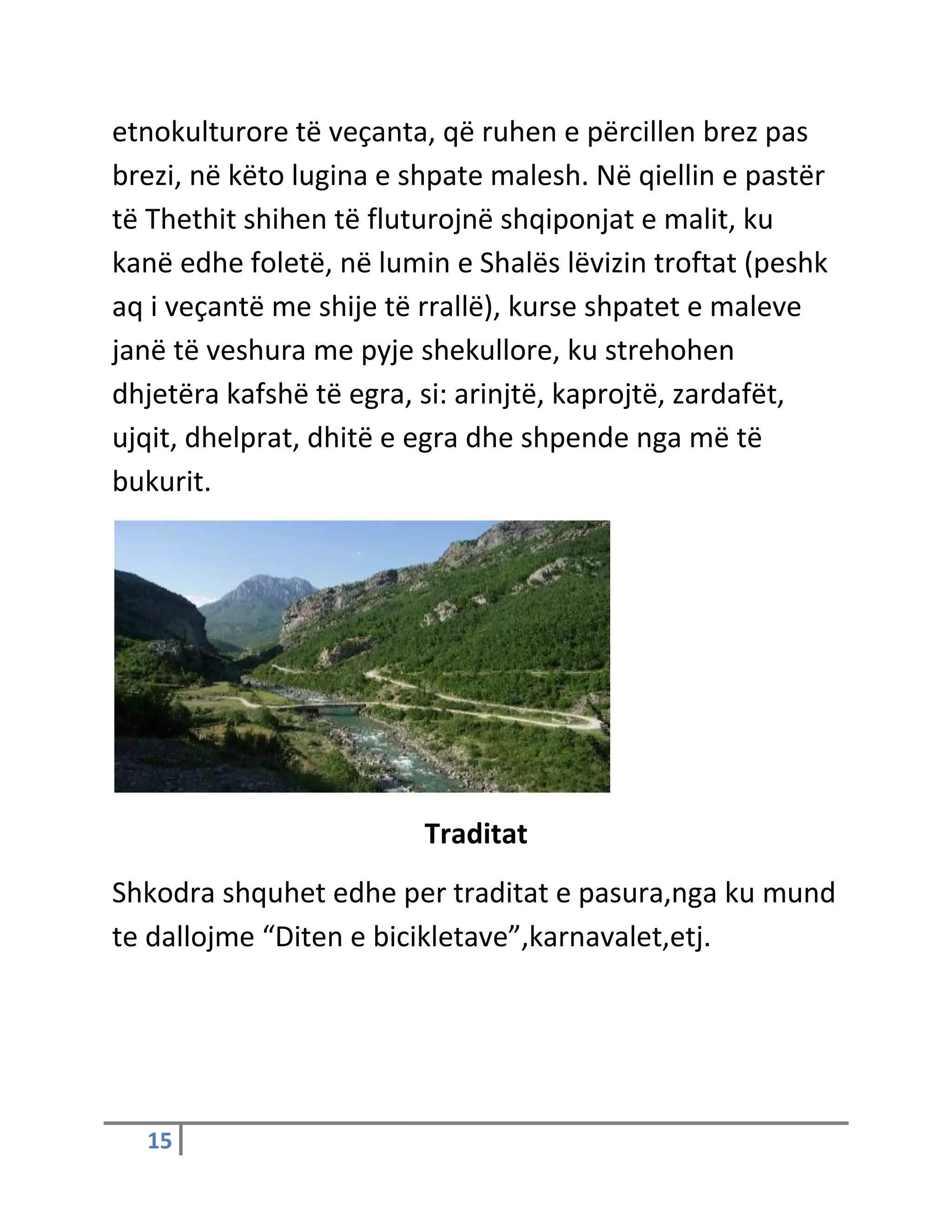 Guide turistike | DOCX