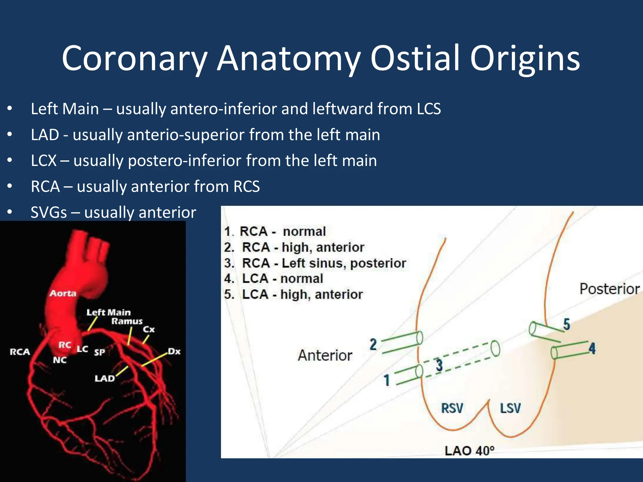 guidewire.pptx APPLICATION | PPTX