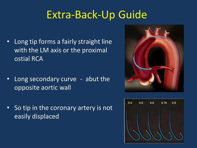 guidewire.pptx APPLICATION | PPT