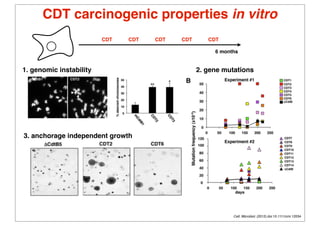 Bacteria & Cancer | PPT