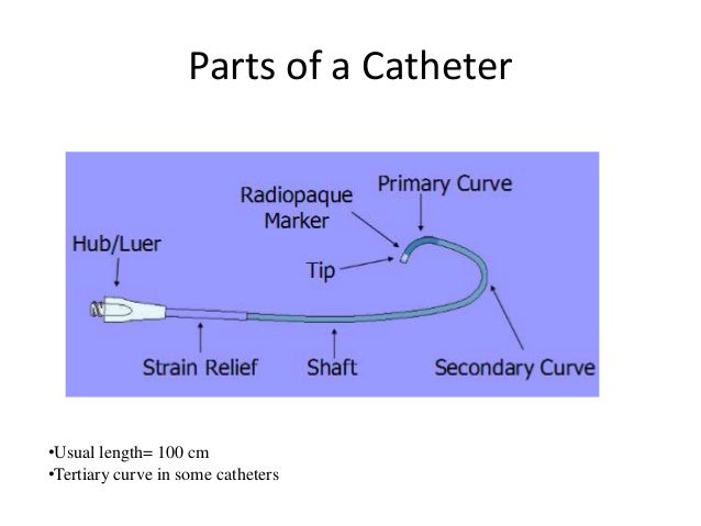 Guiding catheter in coronary intervention