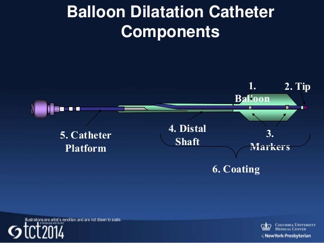 interventional cardiology, Guiding catheters, wires, and balloons e…