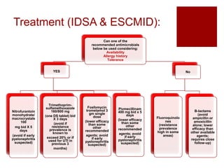 Clinical Guidelines: Acute Uncomplicated Cystitis | PPT