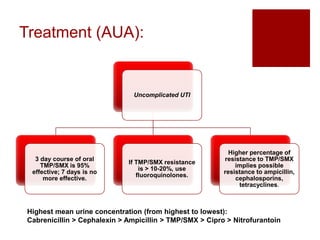 Clinical Guidelines: Acute Uncomplicated Cystitis | PPTX