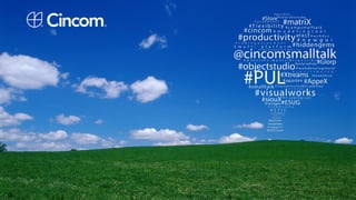 New Native Windows UI possibilities in Cincom Smalltalk ObjectStudio | PPT