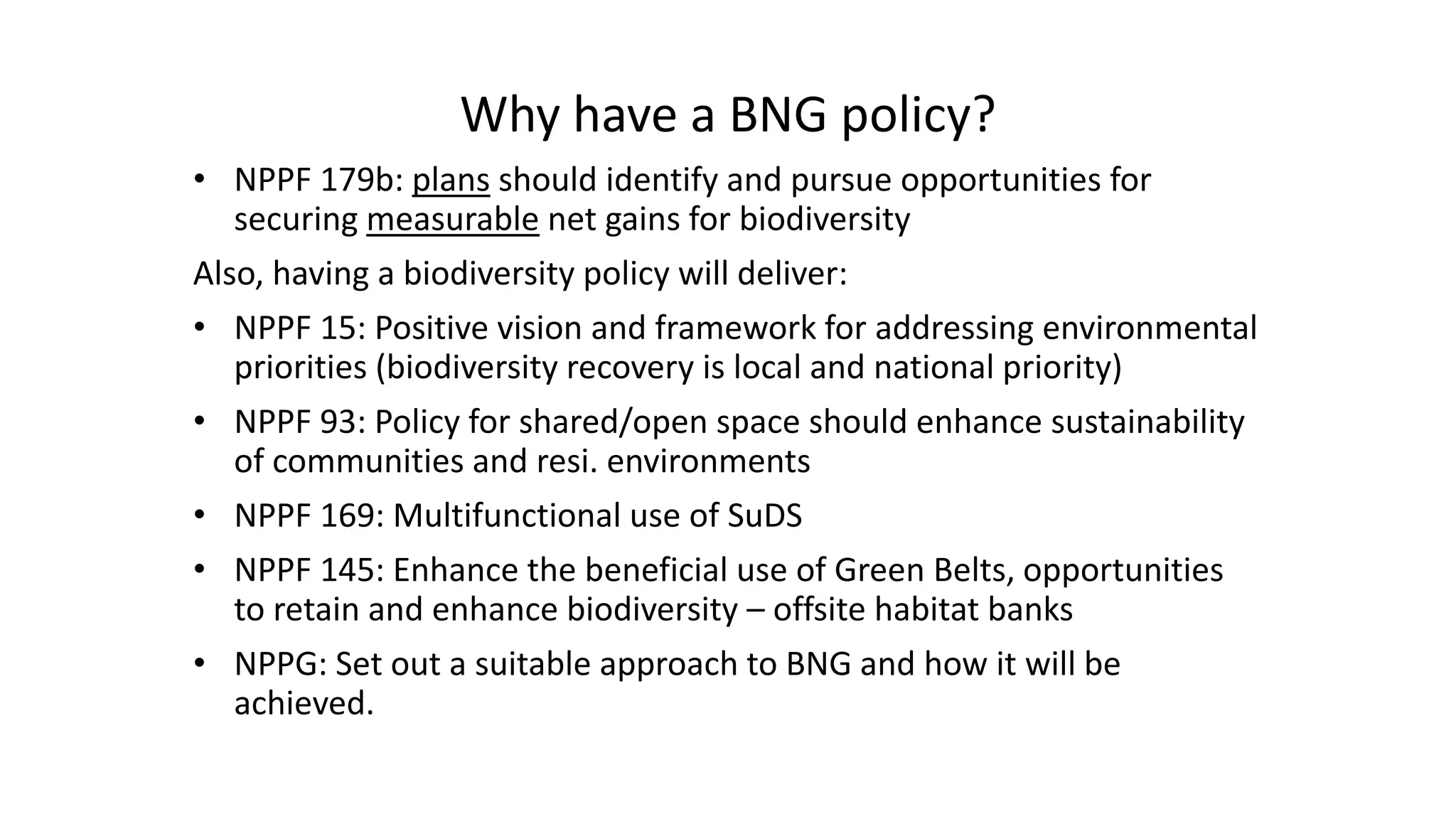 Guildford BC BNG Policy June 2023.pdf