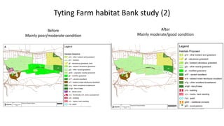 Guildford BC BNG Policy June 2023.pdf