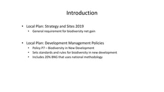 Guildford BC BNG Policy June 2023.pdf