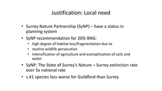 Guildford BC BNG Policy June 2023.pdf