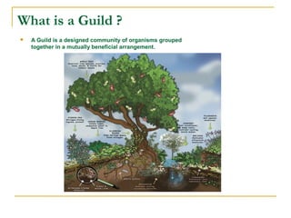Guilds | PPT