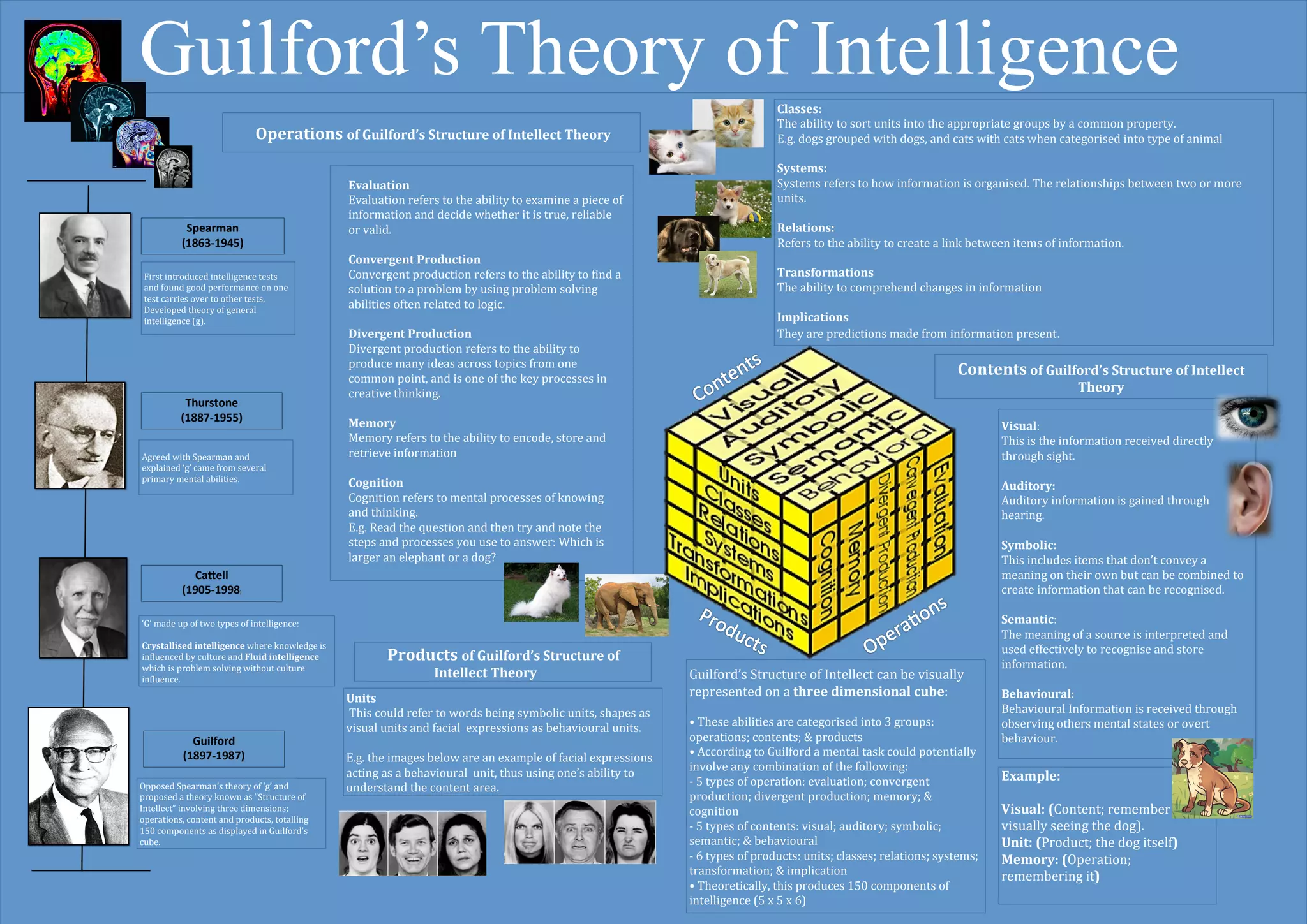 Guilford's theory of intelligence poster | PPT