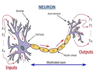 GUILLAIN BARRE SYNDROME(GBS) | PPTX