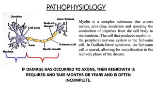 Guillain barre syndrome | PPTX | Brain and Nervous System Disorders ...