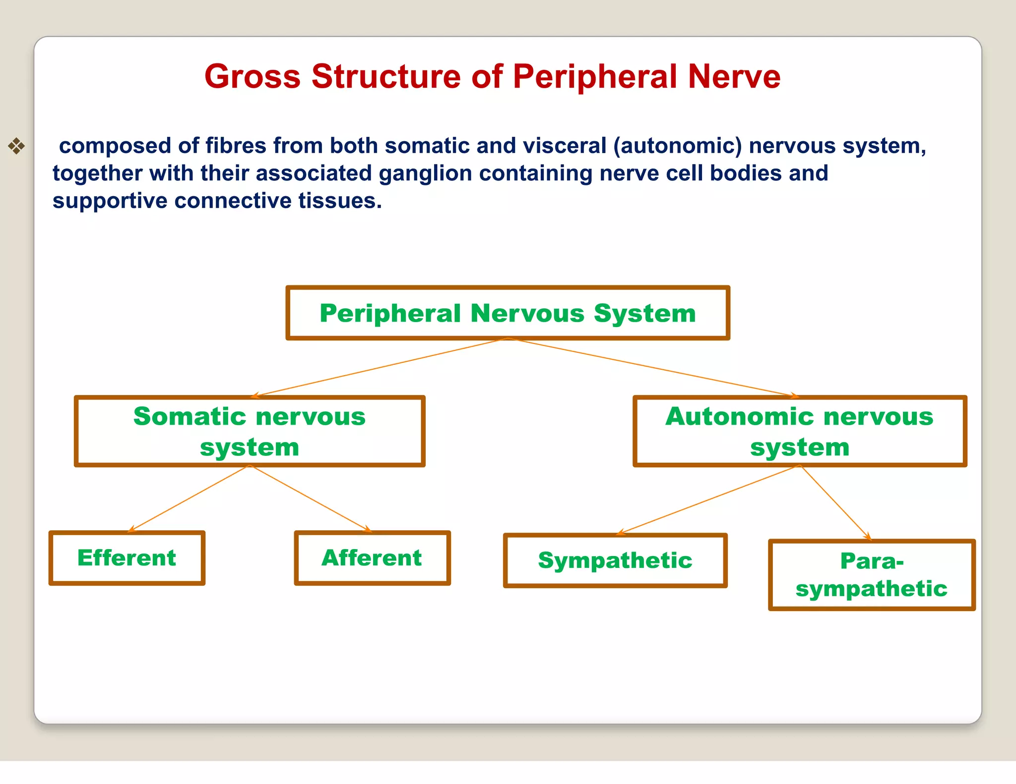 Guillain Barre syndrome (GBS) .pdf