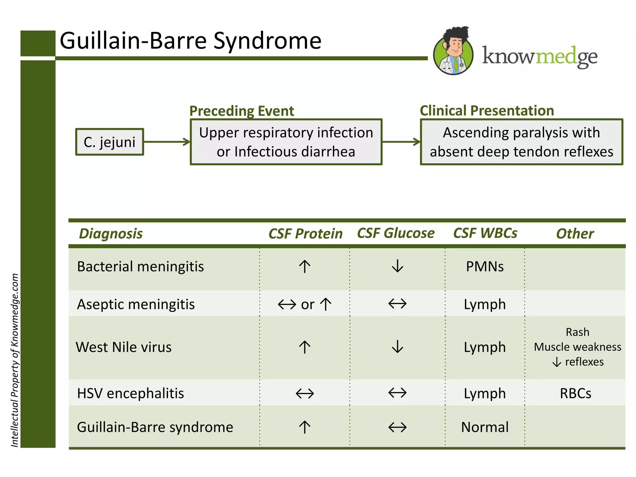 Internal Medicine Board Review: Guillian Barre Syndrome | PDF