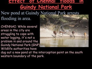 Guindy national park and crocodile bank | PPTX
