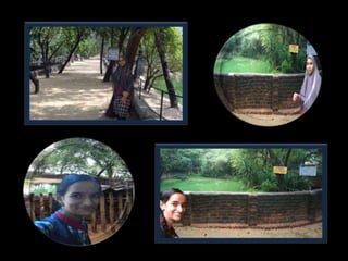 Guindy national park and crocodile bank | PPTX